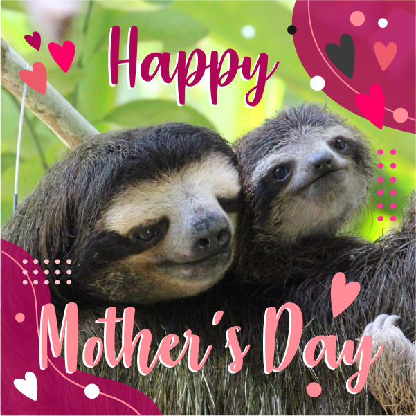 The Sloth Conservation Foundation Mother's Day eCards | DontSendMeACard.com