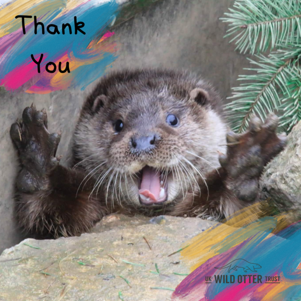 UK Wild Otter Trust Thank You eCards | DontSendMeACard.com