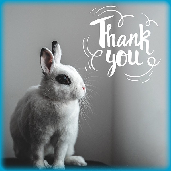 Beloved Rabbits Thank You eCards | DontSendMeACard.com