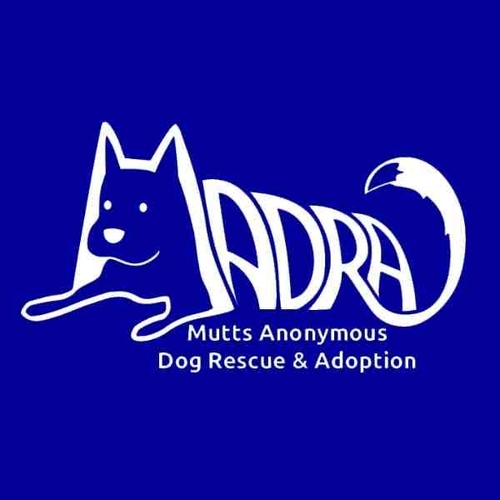 MADRA - Mutts Anonymous Dog Rescue and Adoption eCards ...
