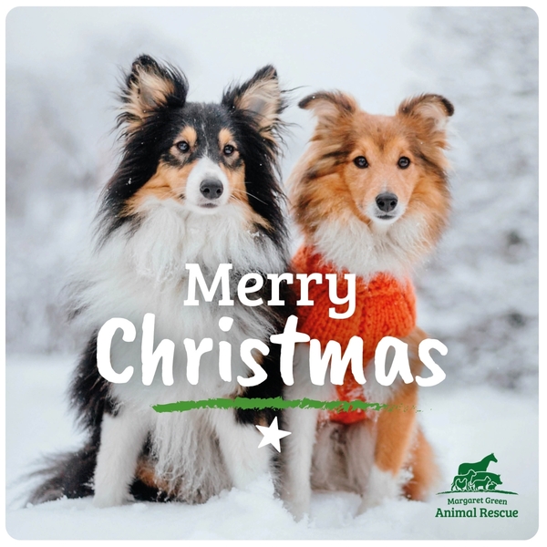 Margaret Green Animal Rescue Christmas eCards | DontSendMeACard.com